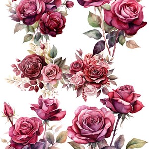 Rose Clipart, Flower Clipart, Digital Paper Craft, Card Making, for ...