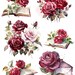 Rose Clipart Flower Clipart Digital Paper Craft Card - Etsy