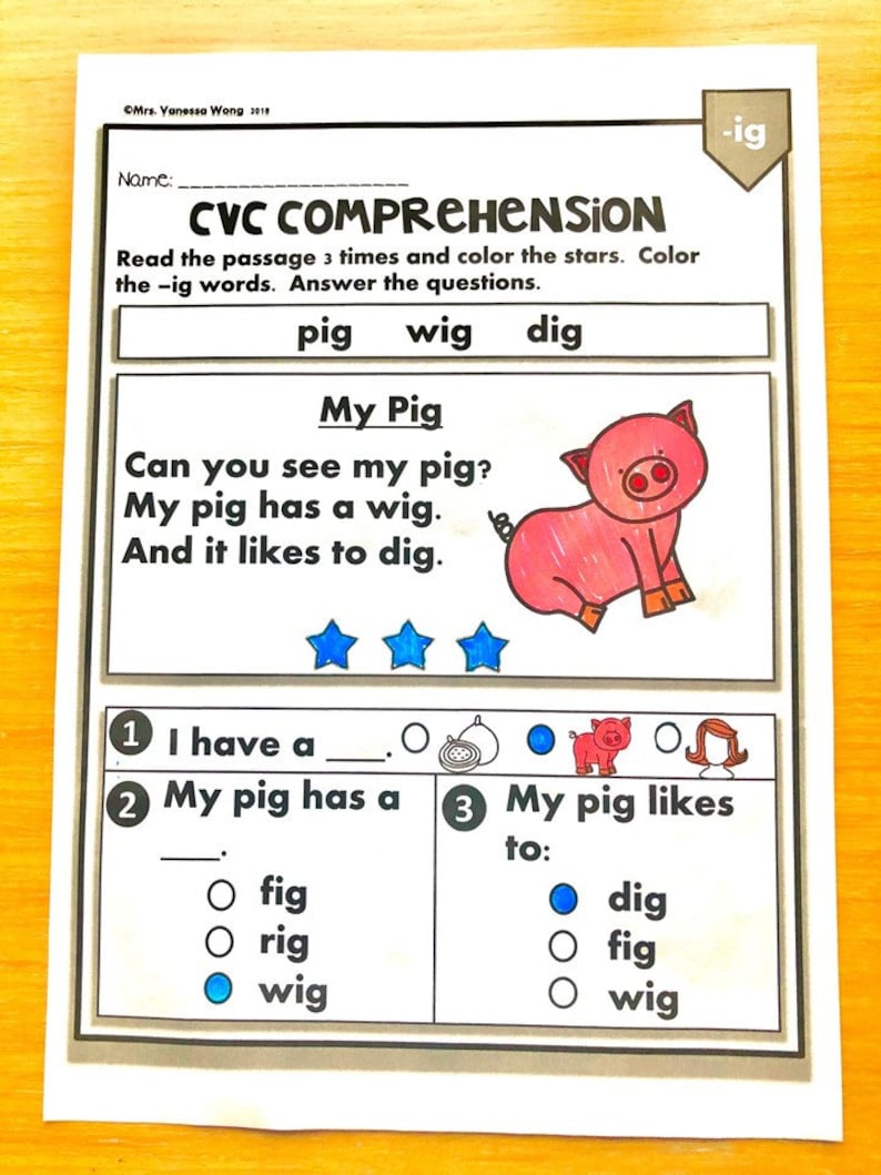 Phonics Worksheets, CVC Comprehension Early Readers for Kindergarten ...