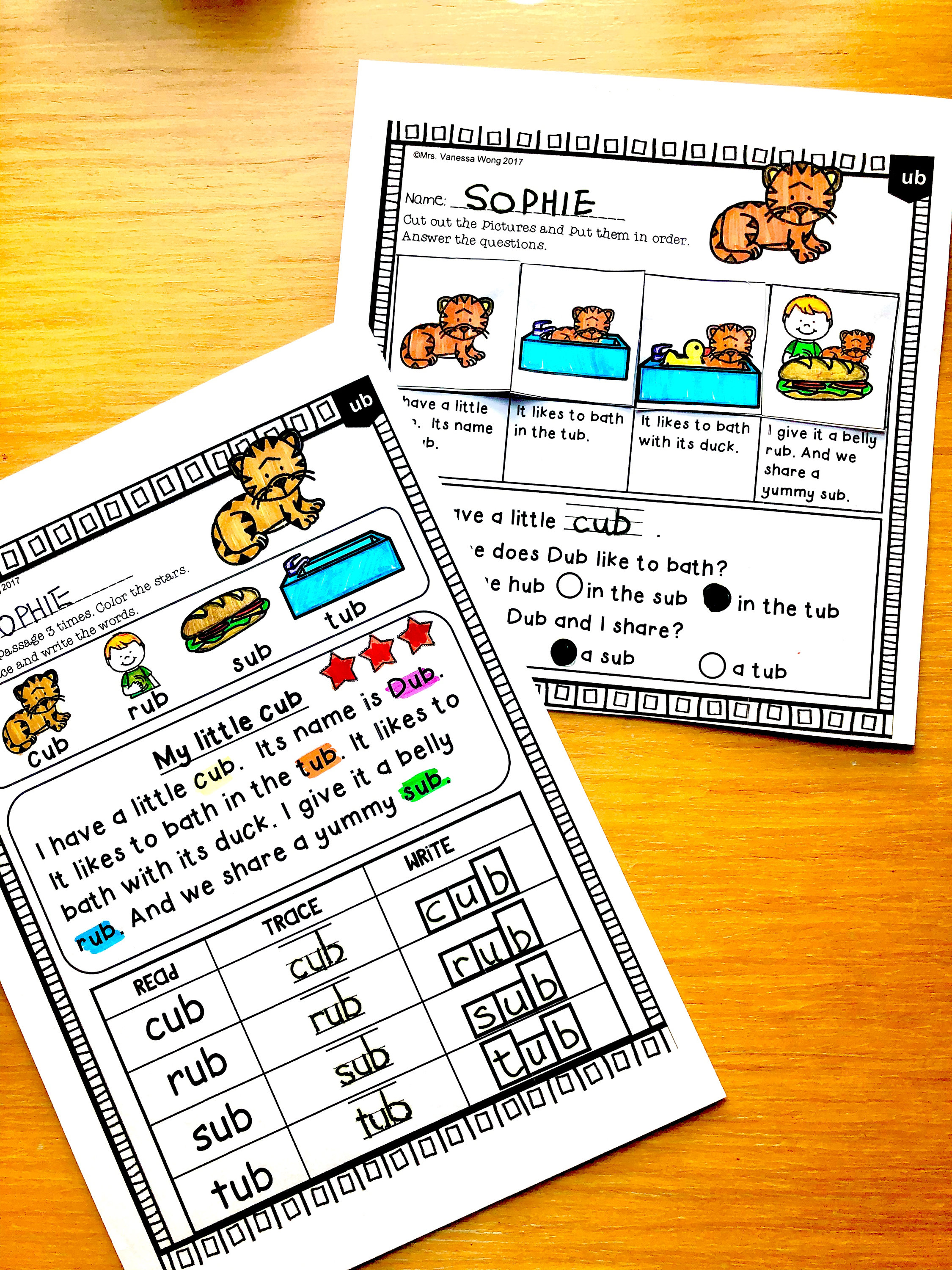 Phonics Reading Comprehension Passages and Activities Short Vowel - Etsy