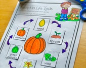 Fall Winter Spring & Summer Seasonal Bundle. Math and - Etsy Hong Kong