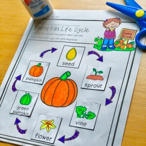 Fall, Winter, Spring & Summer Seasonal Bundle. Math and Literacy ...