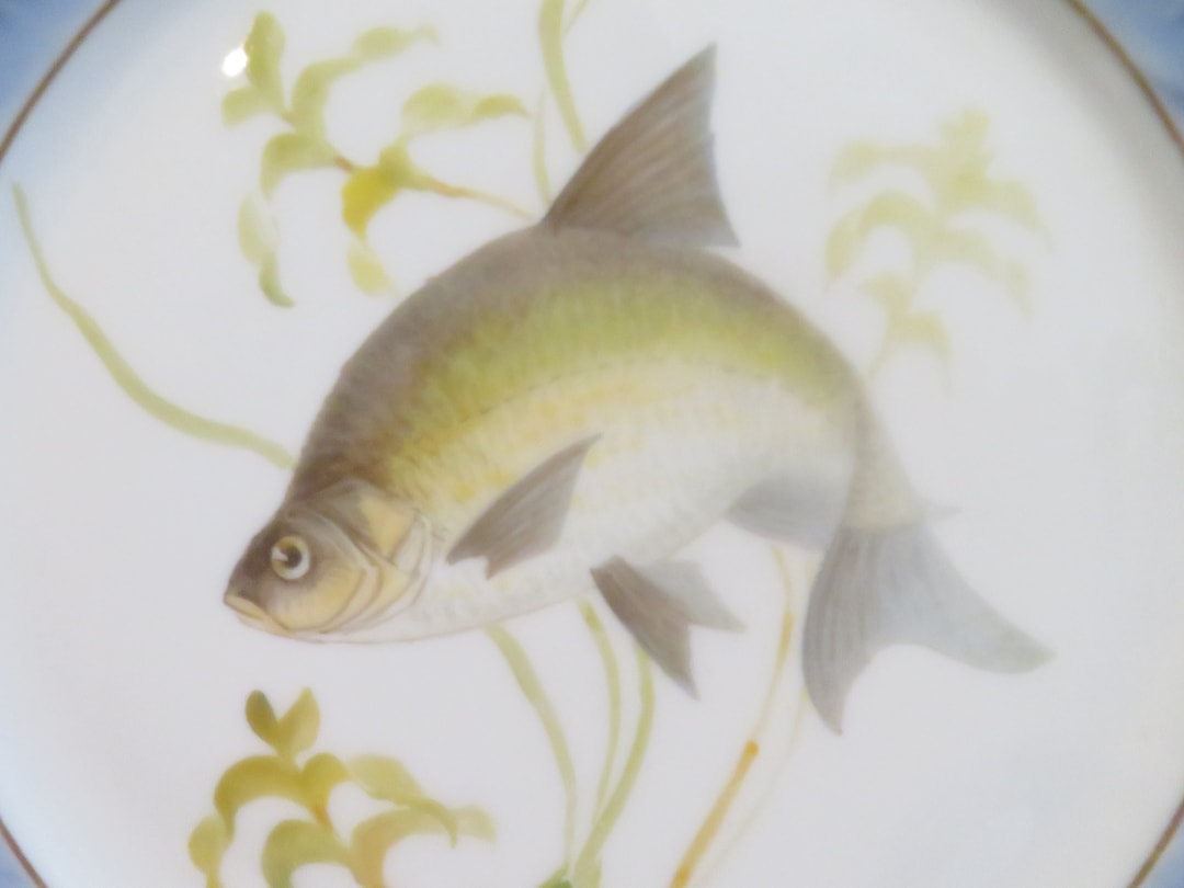 Superbe Assiette à Poisson Porcelaine De Copenhague Abramis Brama ...