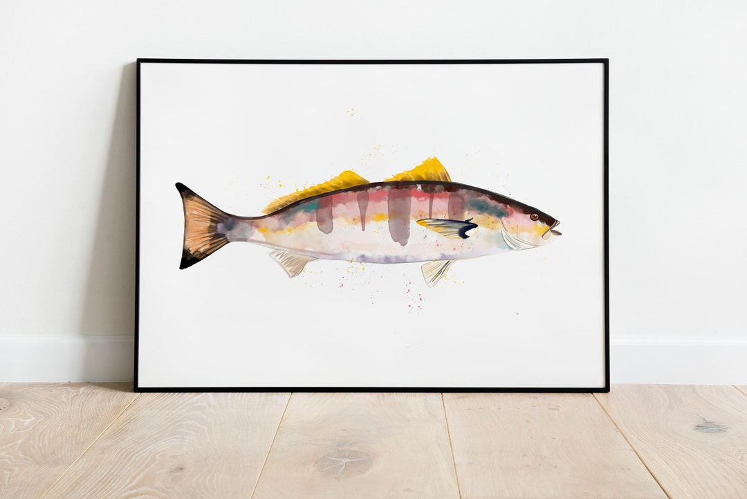 Digital Fish Print | White Sea Bass Art Print - Postcard, Greeting Card ...