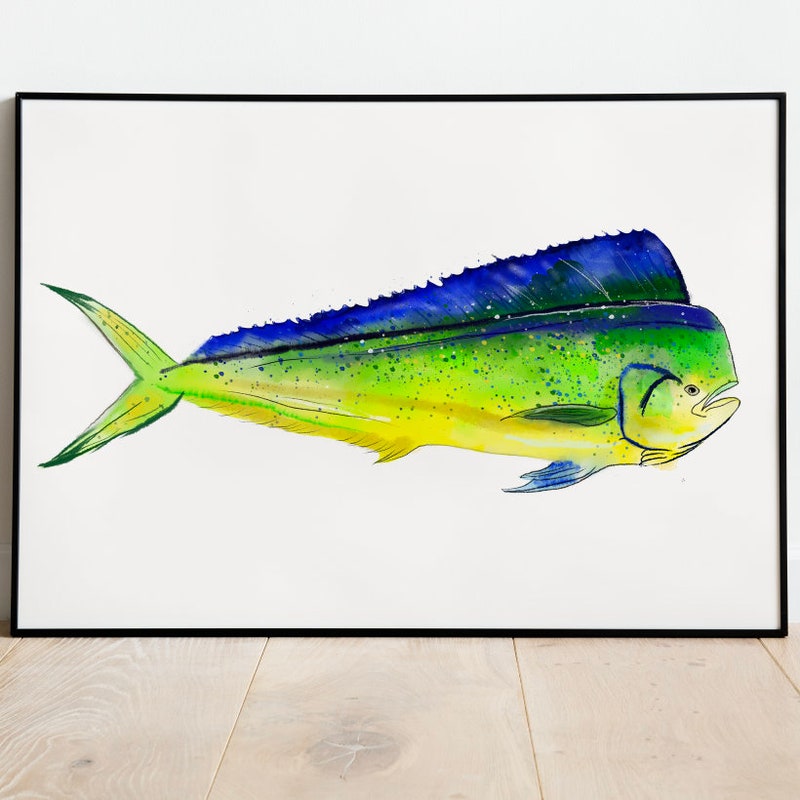 Mahi Mahi Drawing - Etsy