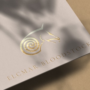 Custom Equestrian Logo Design - Equine Logo Design - Bespoke Equine ...