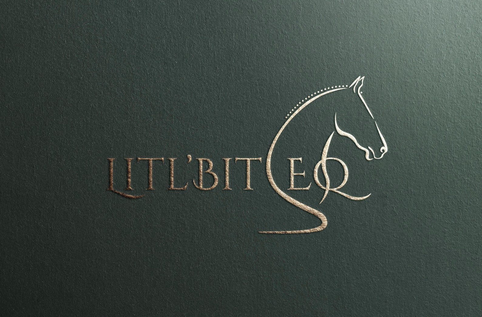 Custom Equestrian Logo Design Equine Logo Design Bespoke - Etsy