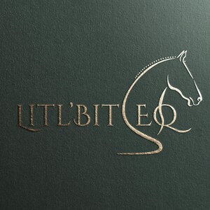 Custom Equestrian Logo Design - Equine Logo Design - Bespoke Equine ...