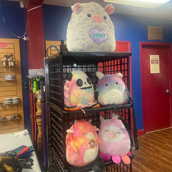 Custom Squishmallow - Etsy