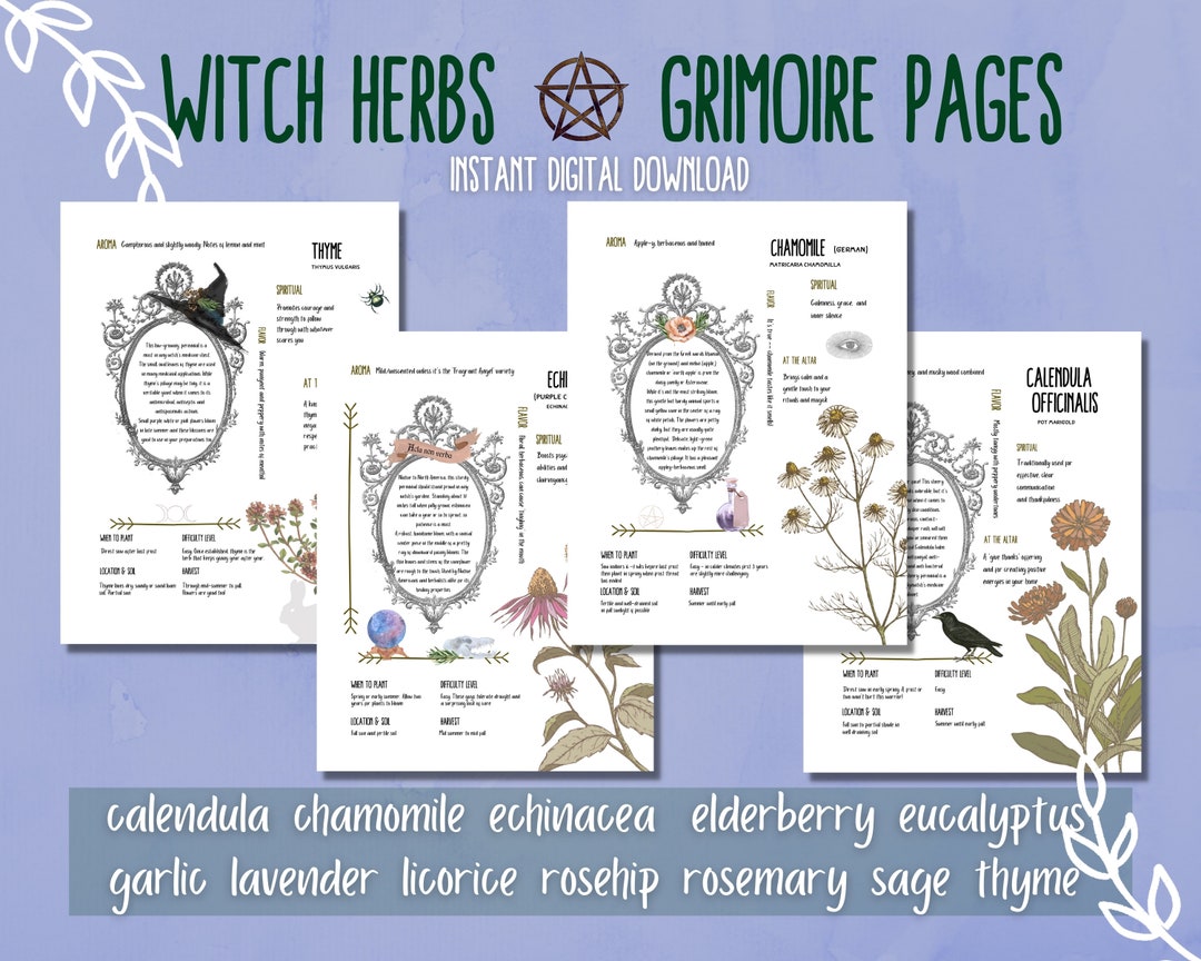 Printable Witch Herb Grimoire Pages Perfect for Beginners - Etsy Canada