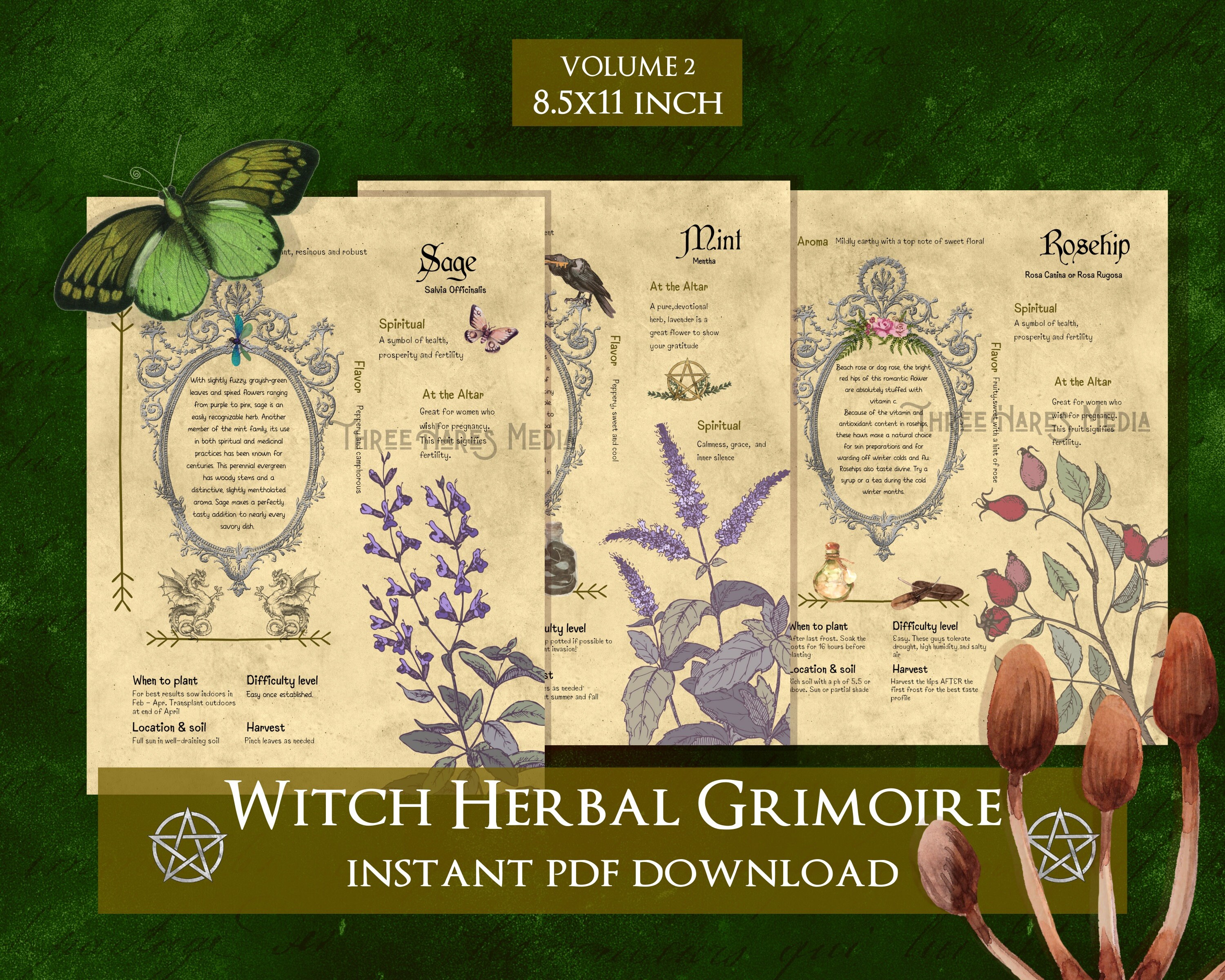 Printable Book of Shadows Pages - Etsy Australia