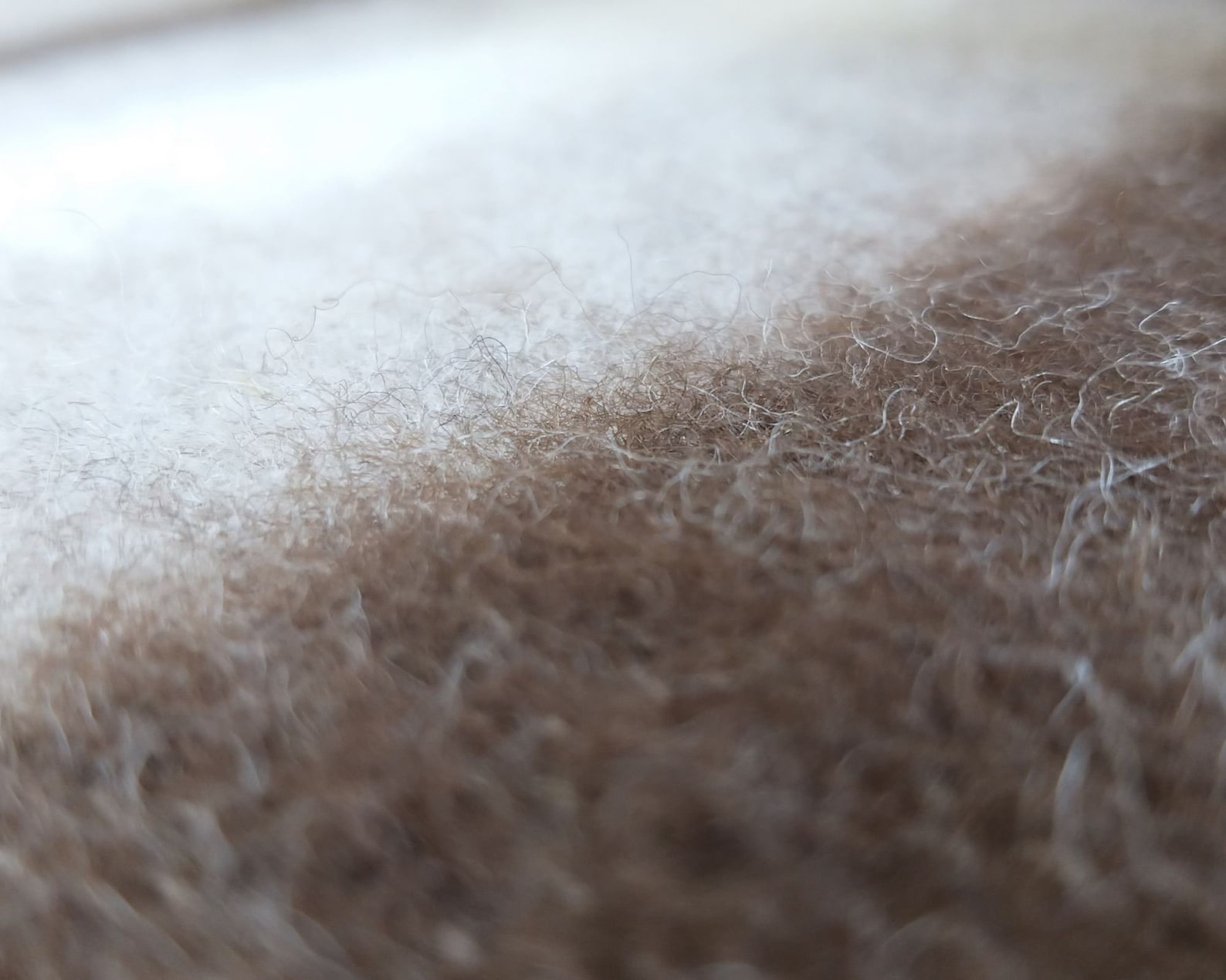 Cream Beige Wool and Cotton Throw, Brown and White Trapper Wool Blanket ...