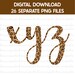 Leopard Print Alphabet Bundle, Sublimation PNG Designs Download, Alpha ...