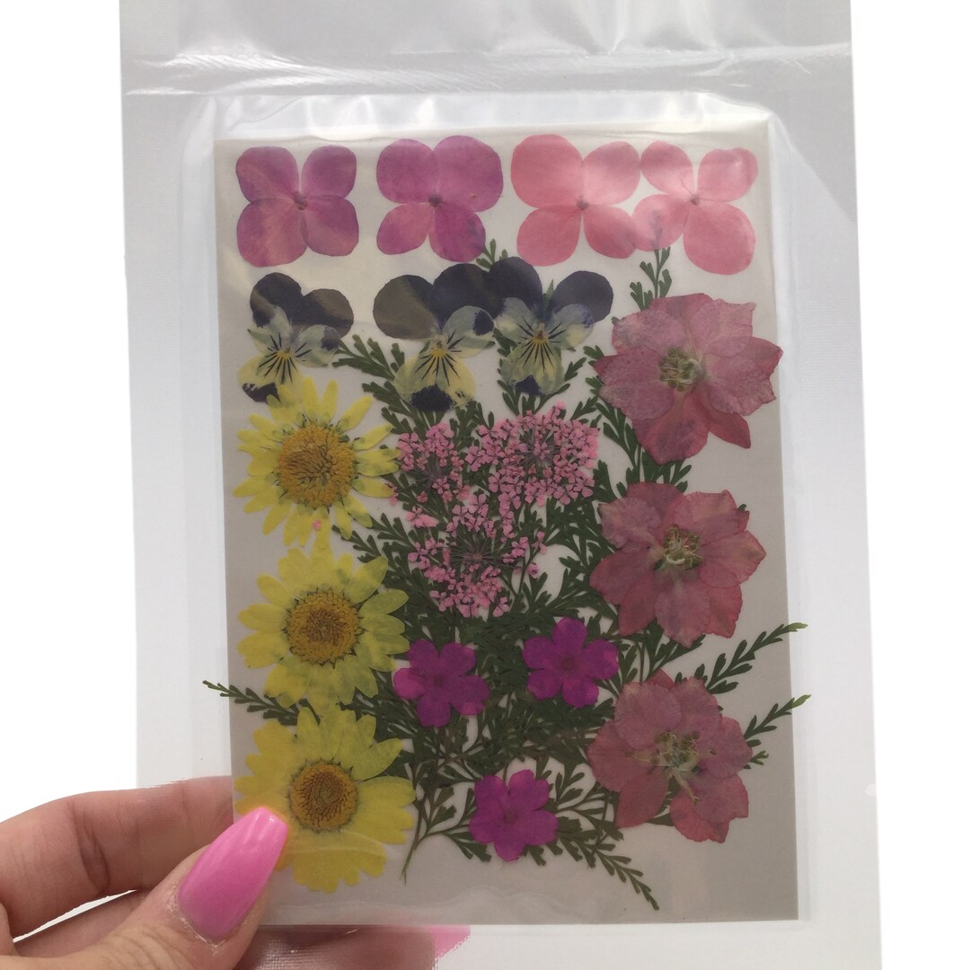 Large Pressed Dry Flowers, Dried Flat Flower Packs, Pressed Flowers for ...