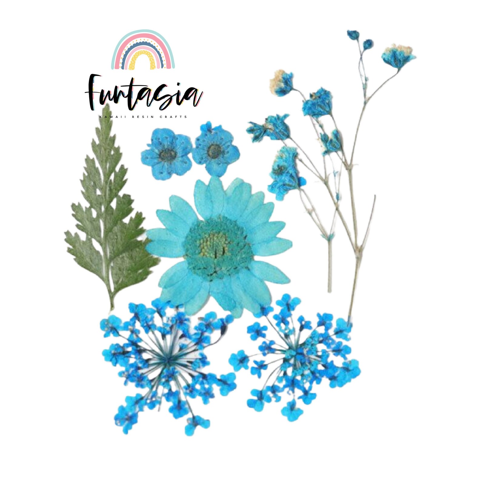 Small Blue Pressed Dry Flowers Dried Flat Flower Packs - Etsy