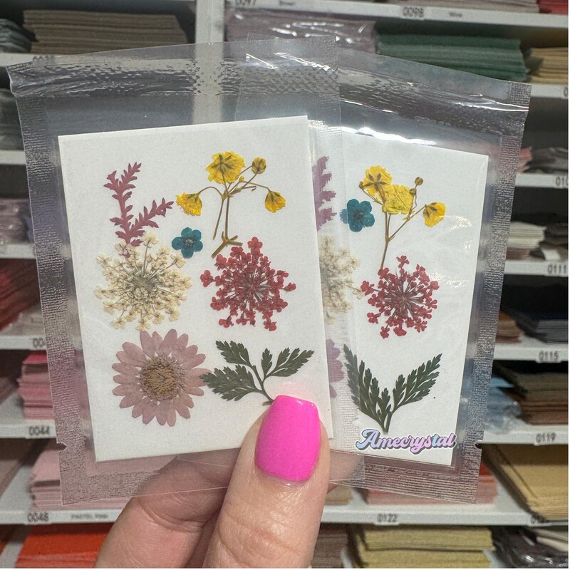 Pressed Tropical Flowers - Etsy