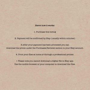 Retro Seagull Seamless Pattern: Preppy Summer Seaside Digital Paper ...