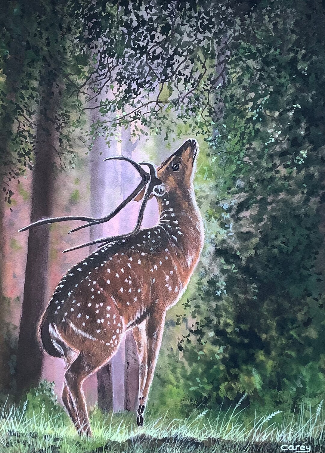 Wild Deer (dawn) Original Watercolour Painting Landscape With Trees ...