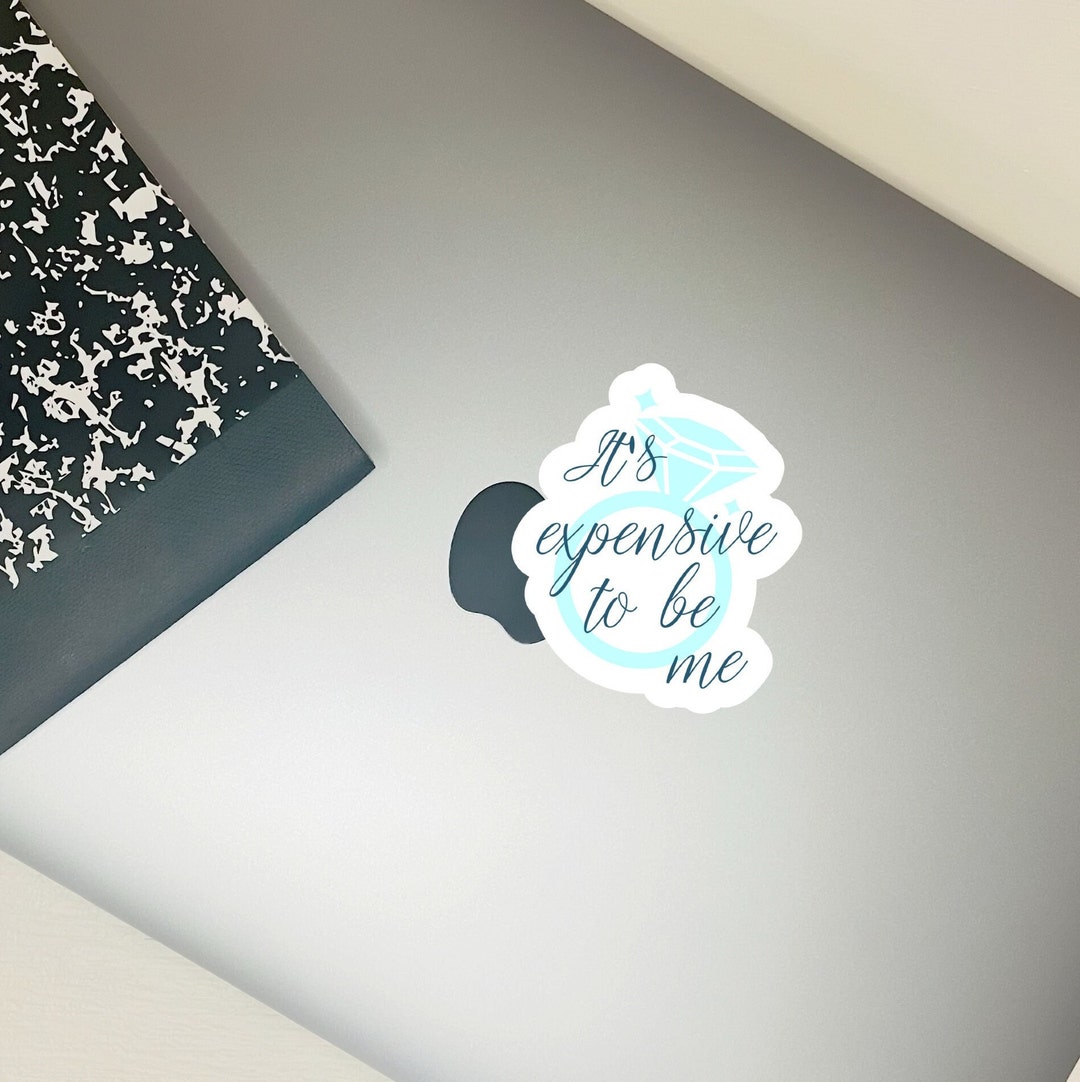 It's Expensive to Be Me Sticker, Real Housewives Vinyl Sticker, Funny ...