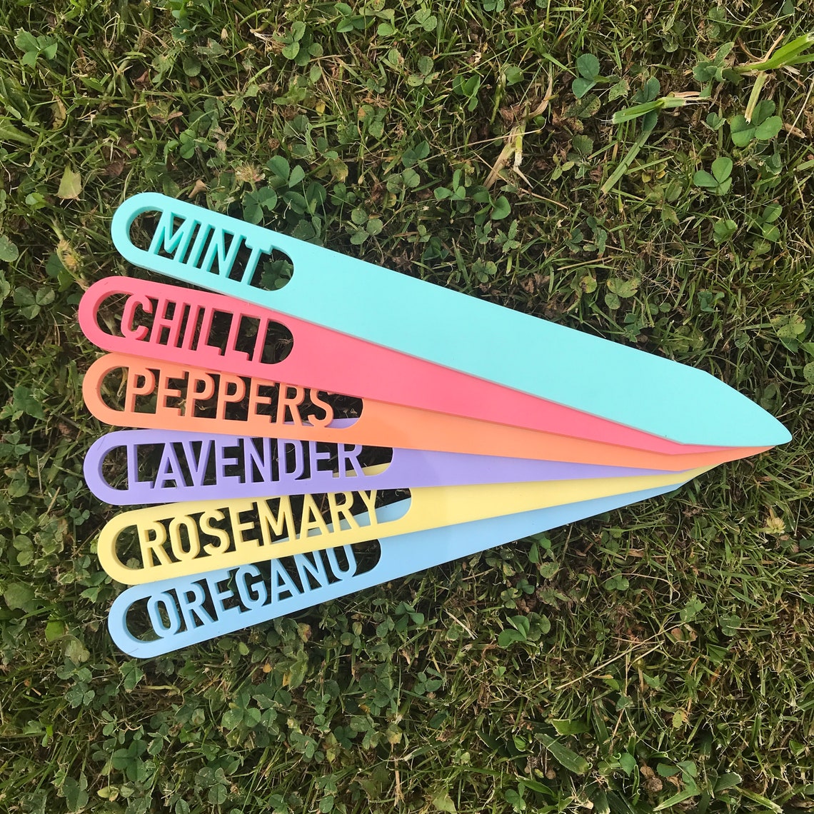 Personalised Garden Plant Labels / Bulb and Flower Stakes / Indoor and ...
