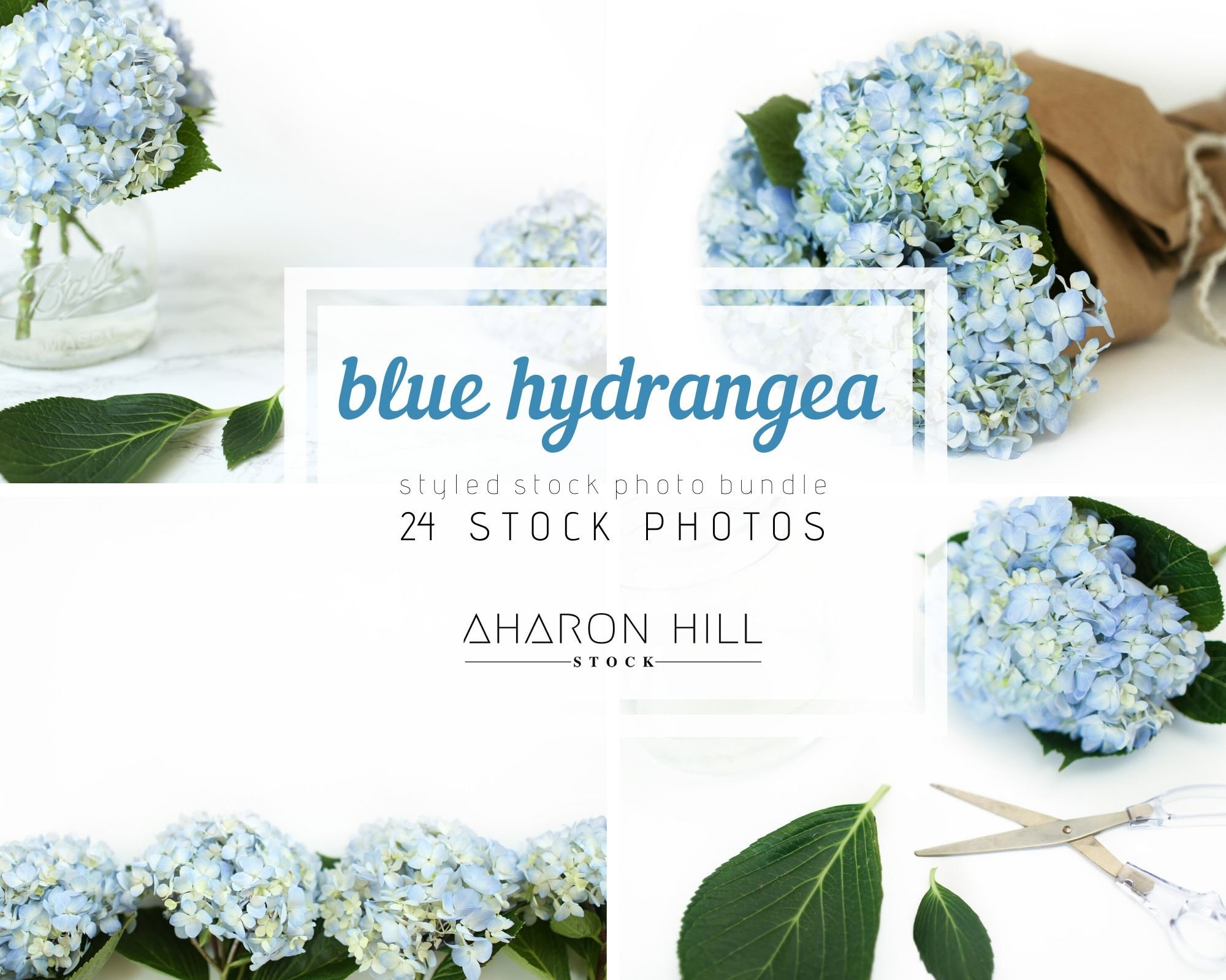 Blue Hydrangea / 24 Styled Stock Photos / Aharonhillcreative - Etsy