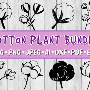 Cotton Plant SVG Bundle, Bundle of 8, Digital Download, Svg, Jpeg, Png ...