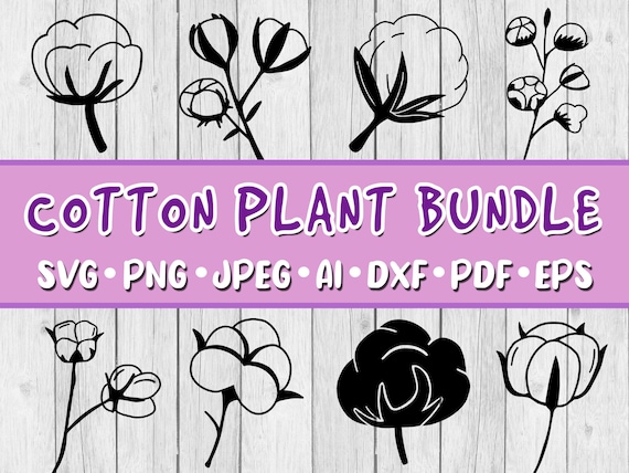 Cotton Plant SVG Bundle Bundle of 8 Digital Download Svg - Etsy