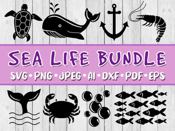 Sea Life SVG Bundle Bundle of 8 Digital Download Svg Jpeg | Etsy Canada