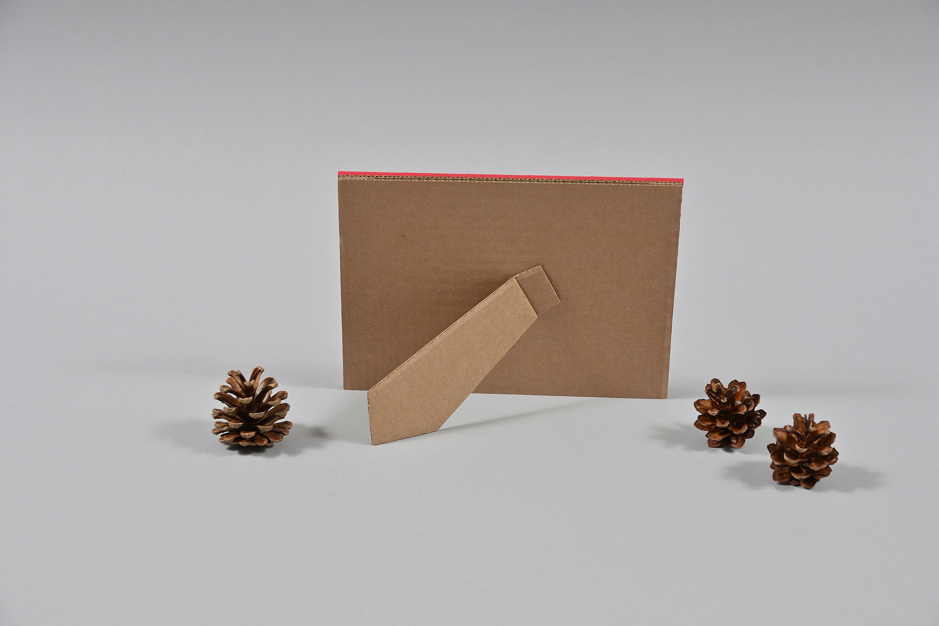Candy Cane Photo Frame With Holly Leaves Recycled Copy Paper Photo ...