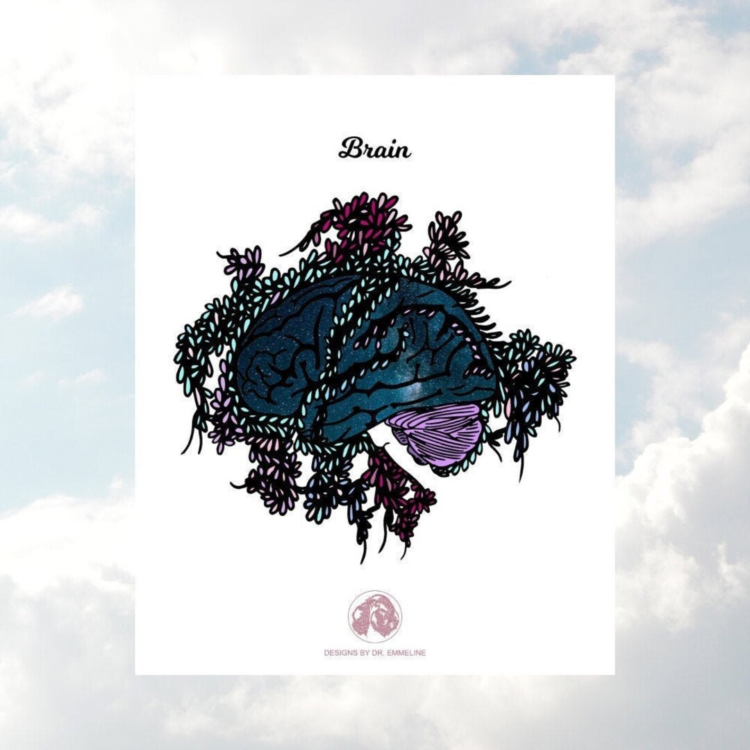 BRAIN Anatomy Art, Organ Art, Human Organs, Doctor Office Decor, Doctor ...