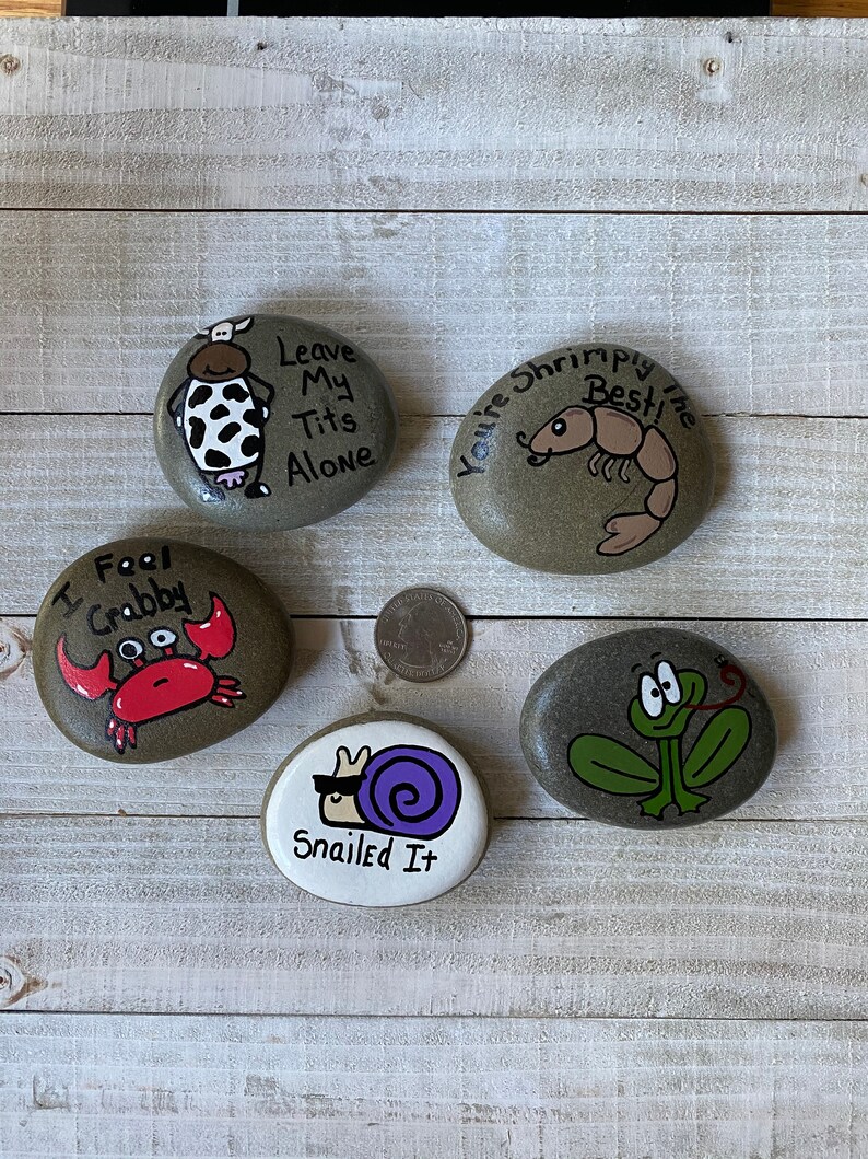 Cute/funny Painted Acrylic Rock Magnets - Etsy