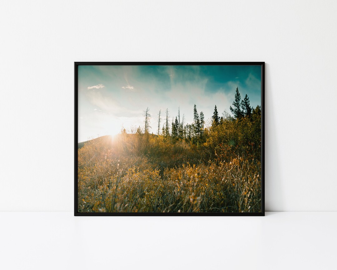 Sunrise Trees Print, Digital Printable Art, Wall Art, DIGITAL DOWNLOAD ...