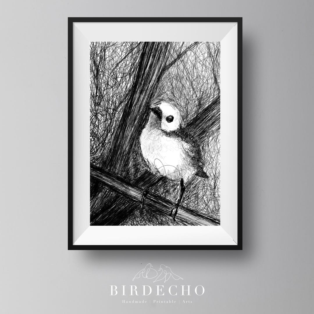 Bird Drawing Wall Art Instant Downloadable Art Print Modern Home Decor ...