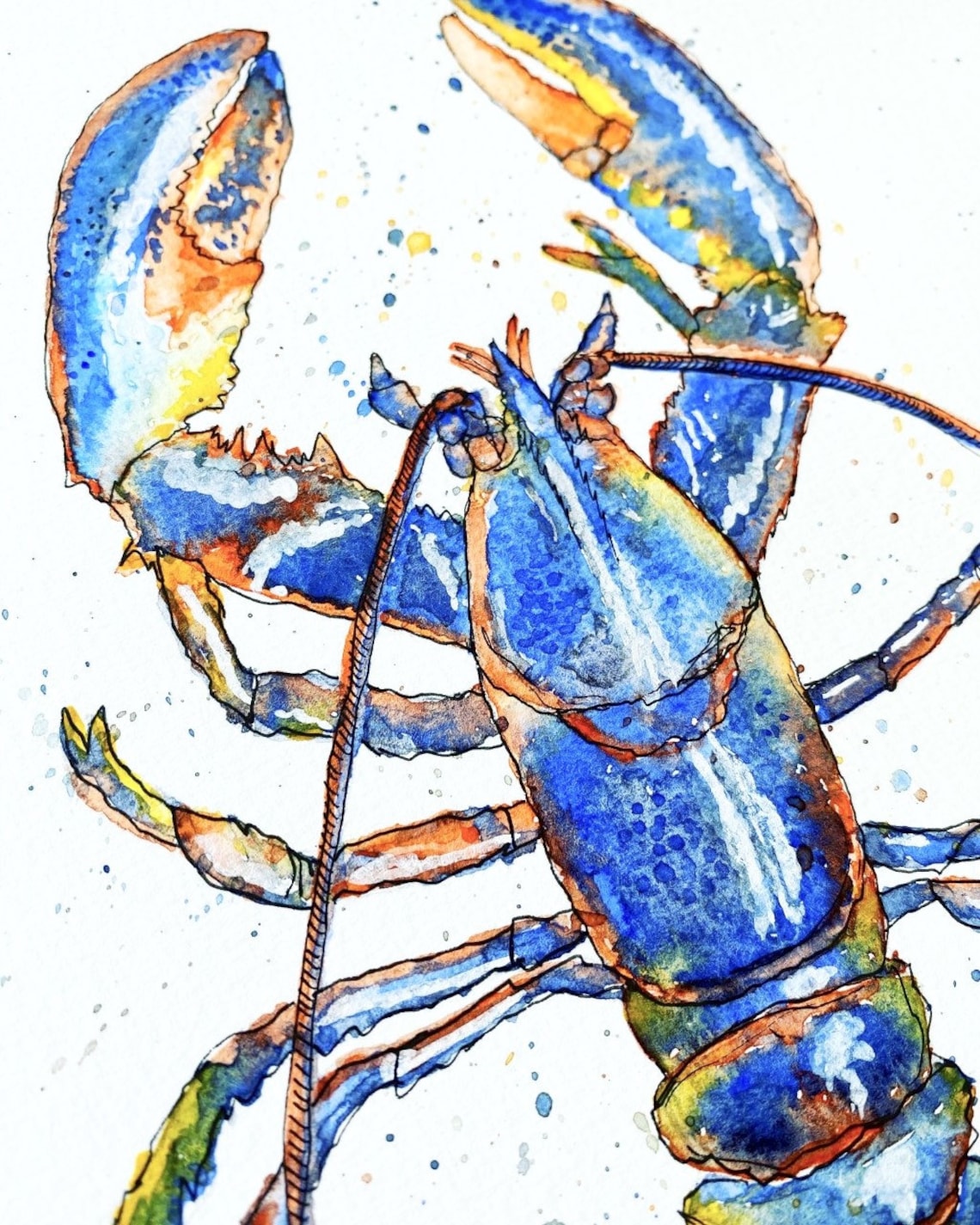 Lobster Watercolour Print Lobster Painting Fine Art Print Nautical ...