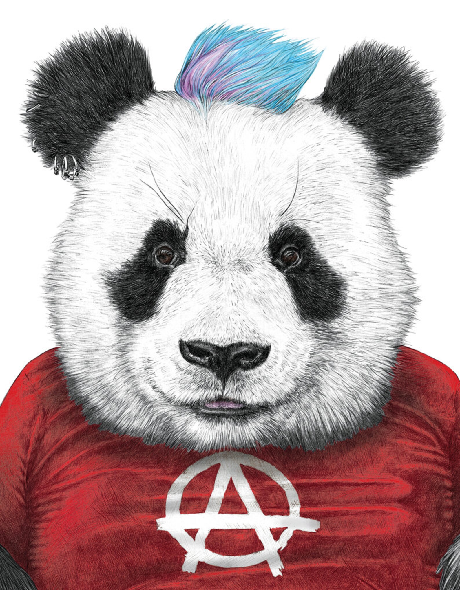 Punk Panda ROJO 297 x 297cm impresión de arte | Etsy