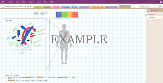 ONENOTE Medicine Study Planner Template Organise Your Study - Etsy Finland