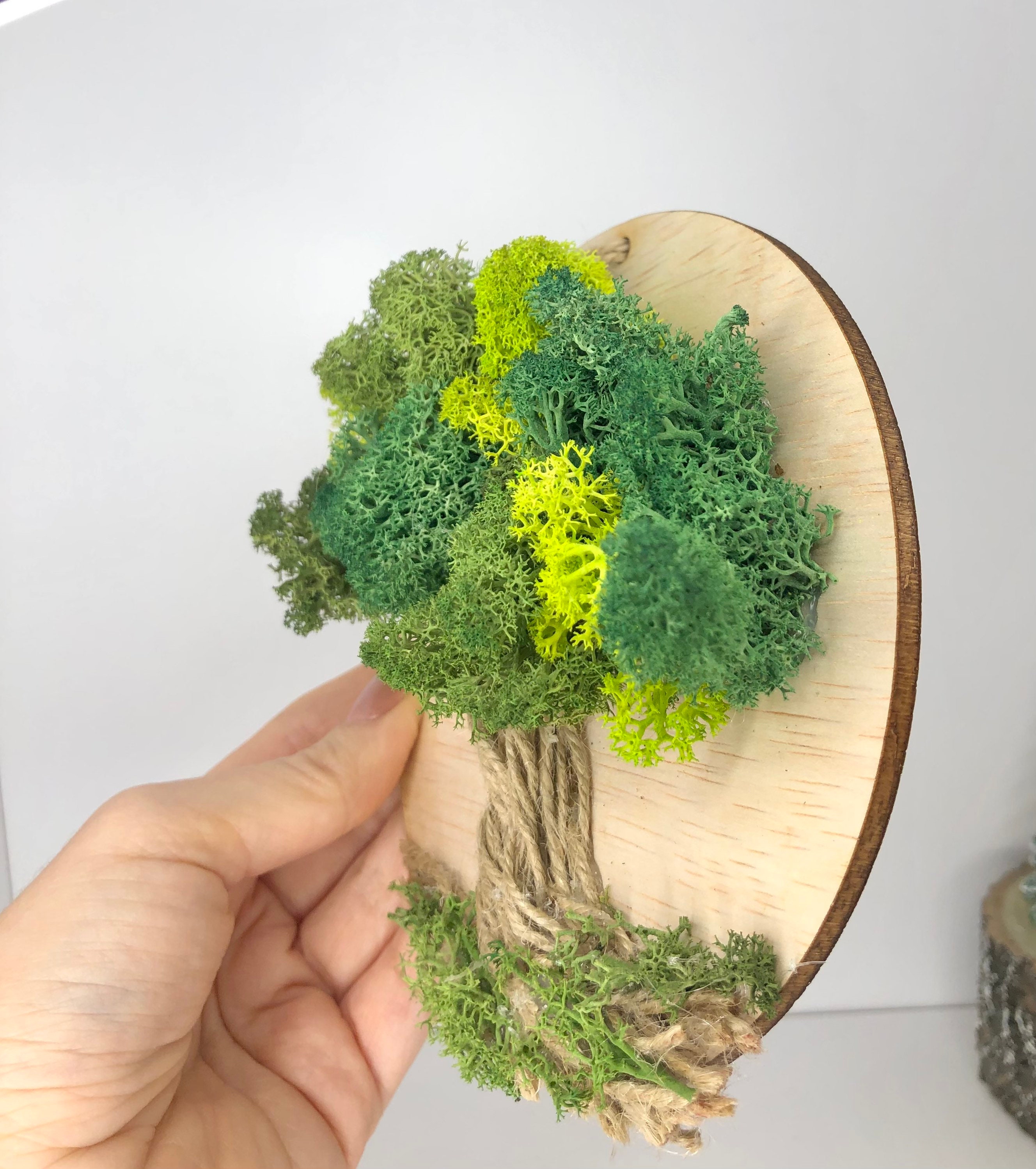 Tree Moss Wall Art, Preserved Moss Decor, Calming Nature Art, Tiny Tree ...