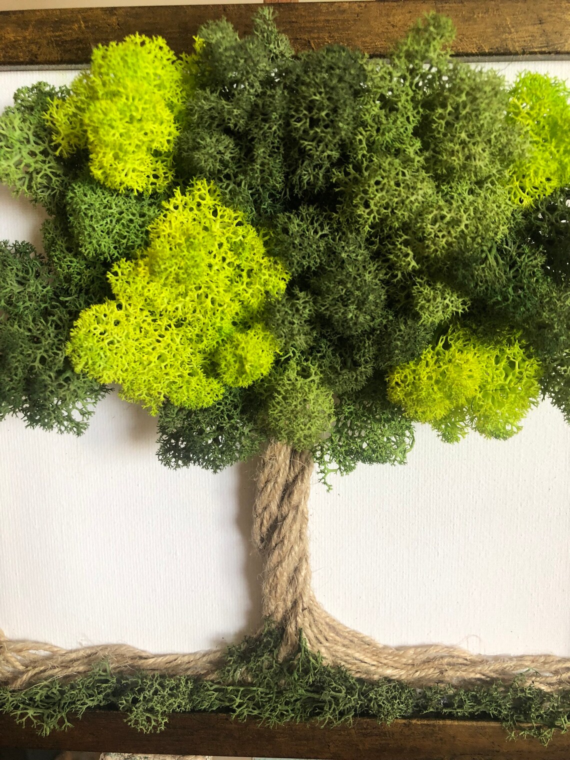 Green Moss Wall Art Preserved Moss Art Moss Tree Tree of | Etsy