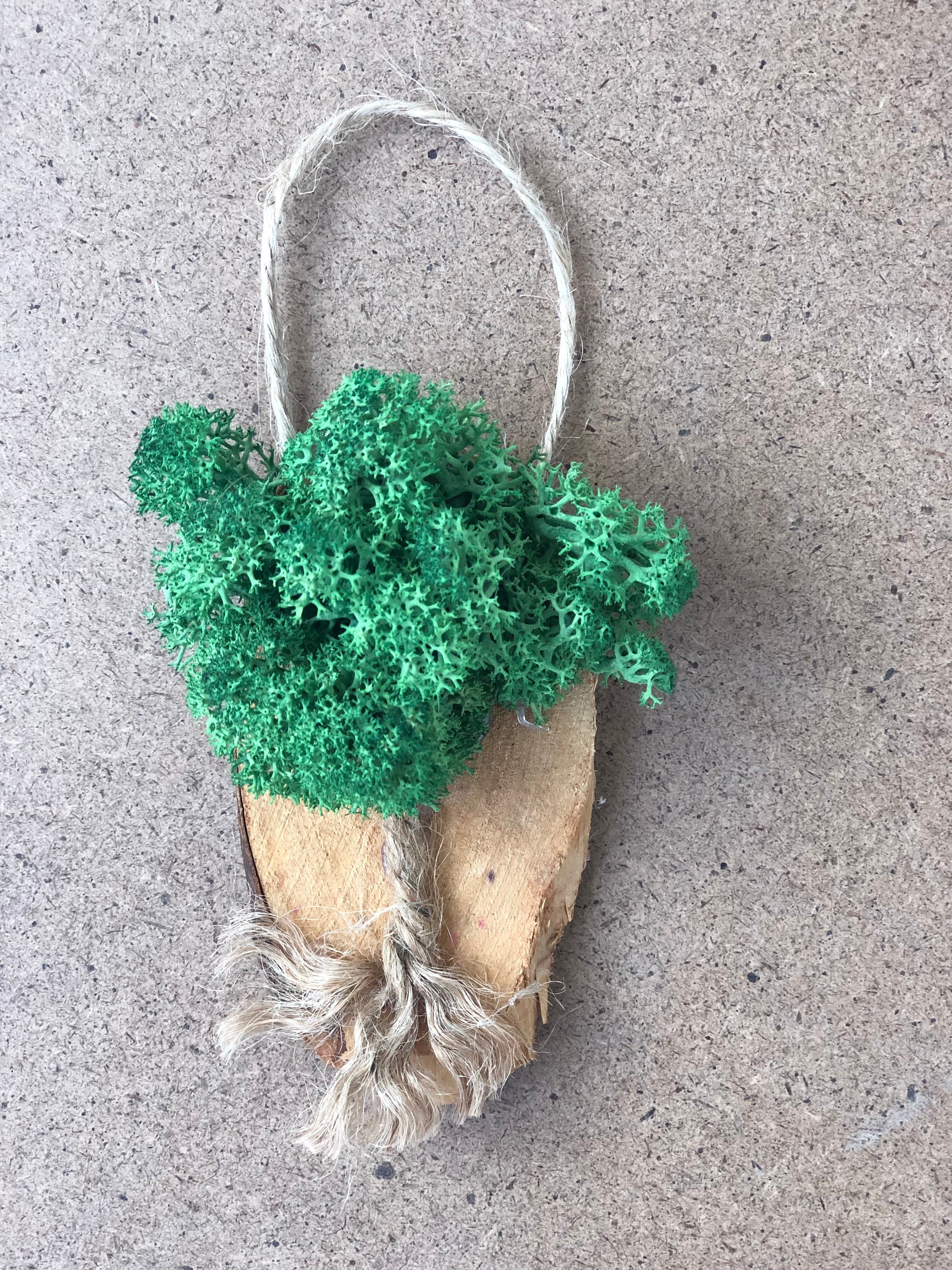 Fridge Magnets Set Moss Wall Art Unique Magnets Homemade - Etsy