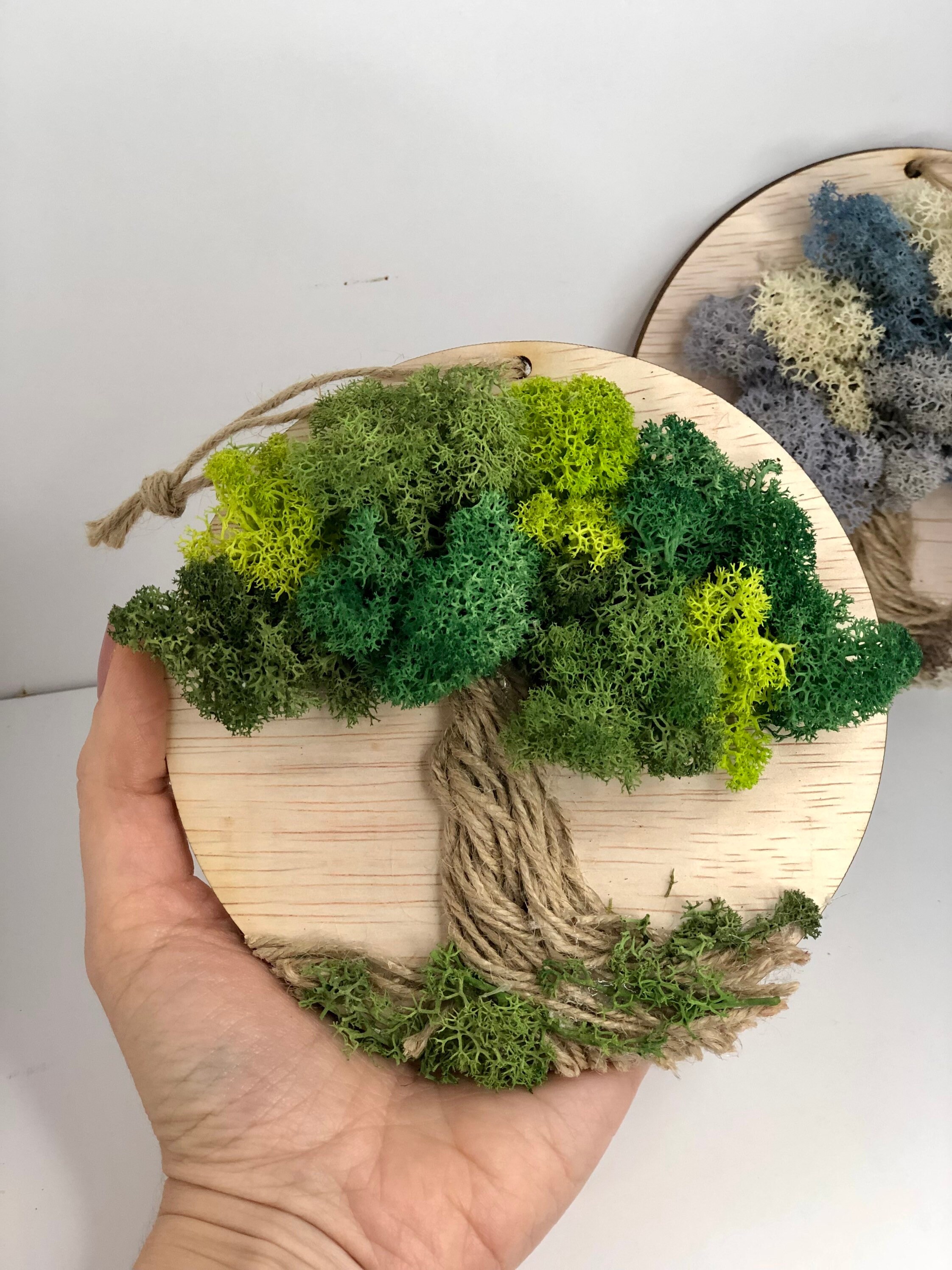 Tree Moss Wall Art, Preserved Moss Decor, Calming Nature Art, Tiny Tree ...