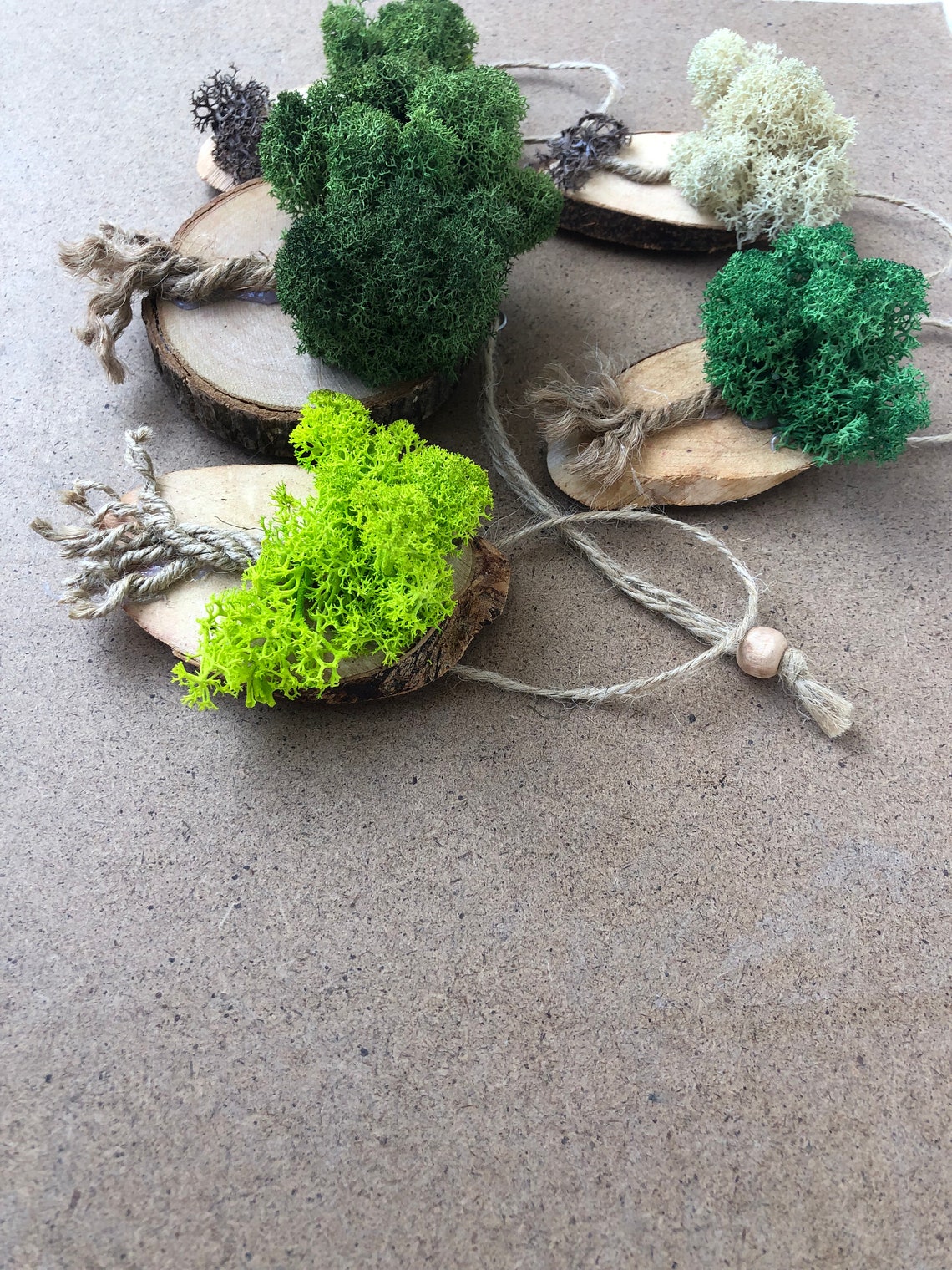 Fridge Magnets Set Moss Wall Art Unique Magnets Homemade Ornaments Eco ...