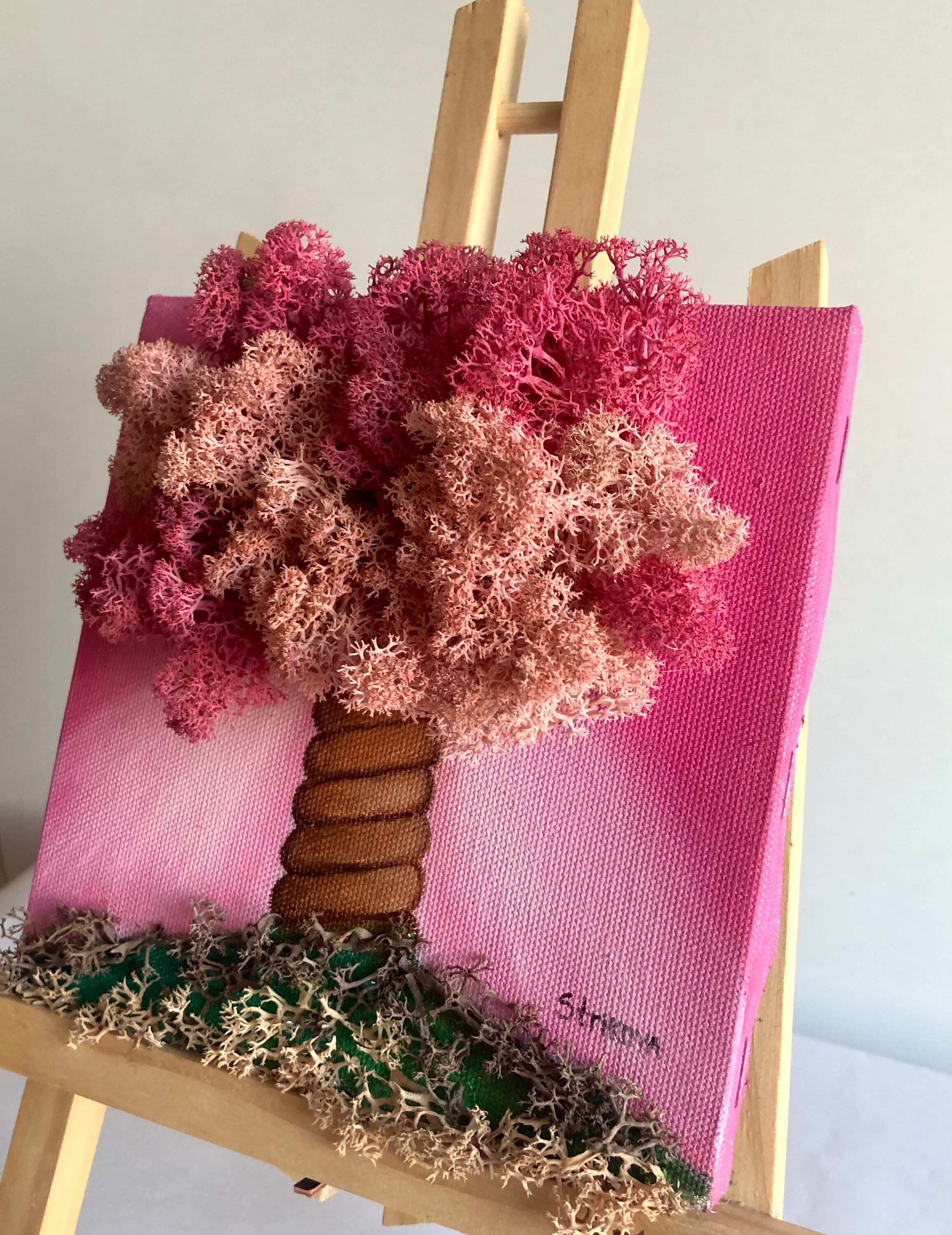 Pink Moss Wall Art Live Moss Tree Calming Nature Art Moss Wall Decor ...