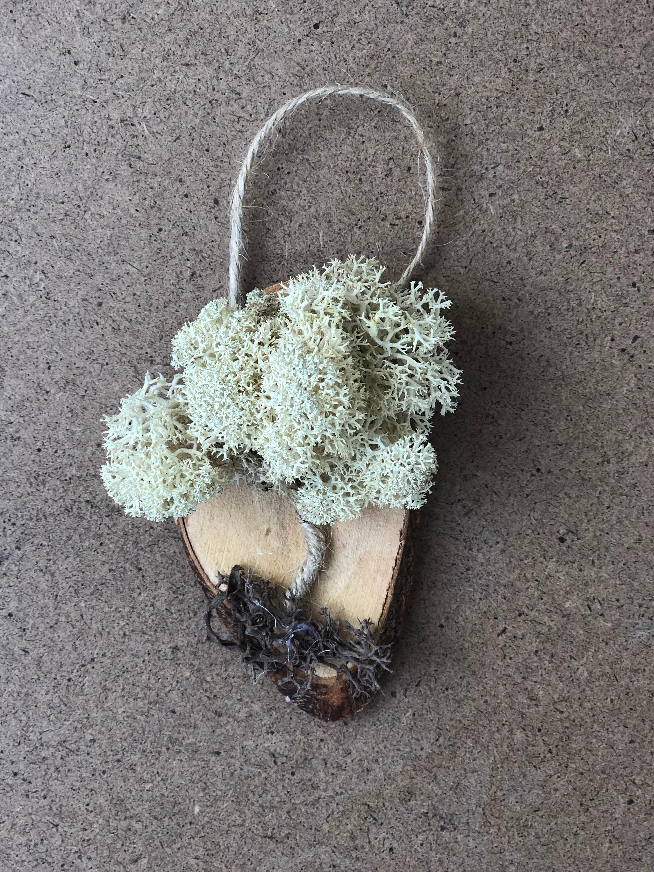 Fridge Magnets Set Moss Wall Art Unique Magnets Homemade Ornaments Eco ...