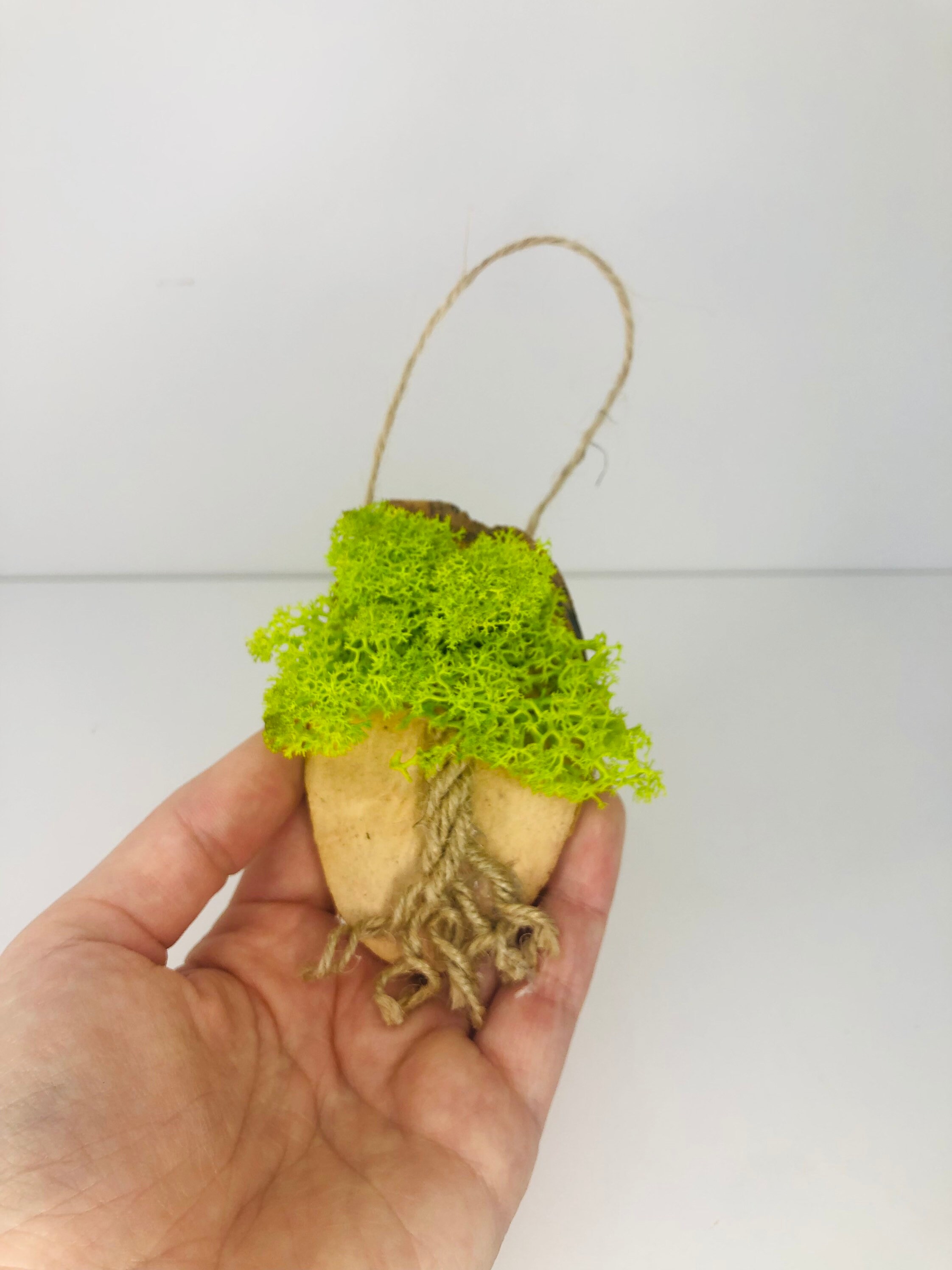 Moss Tree Fridge Magnet Unique Plant Magnet Eco Friendly - Etsy