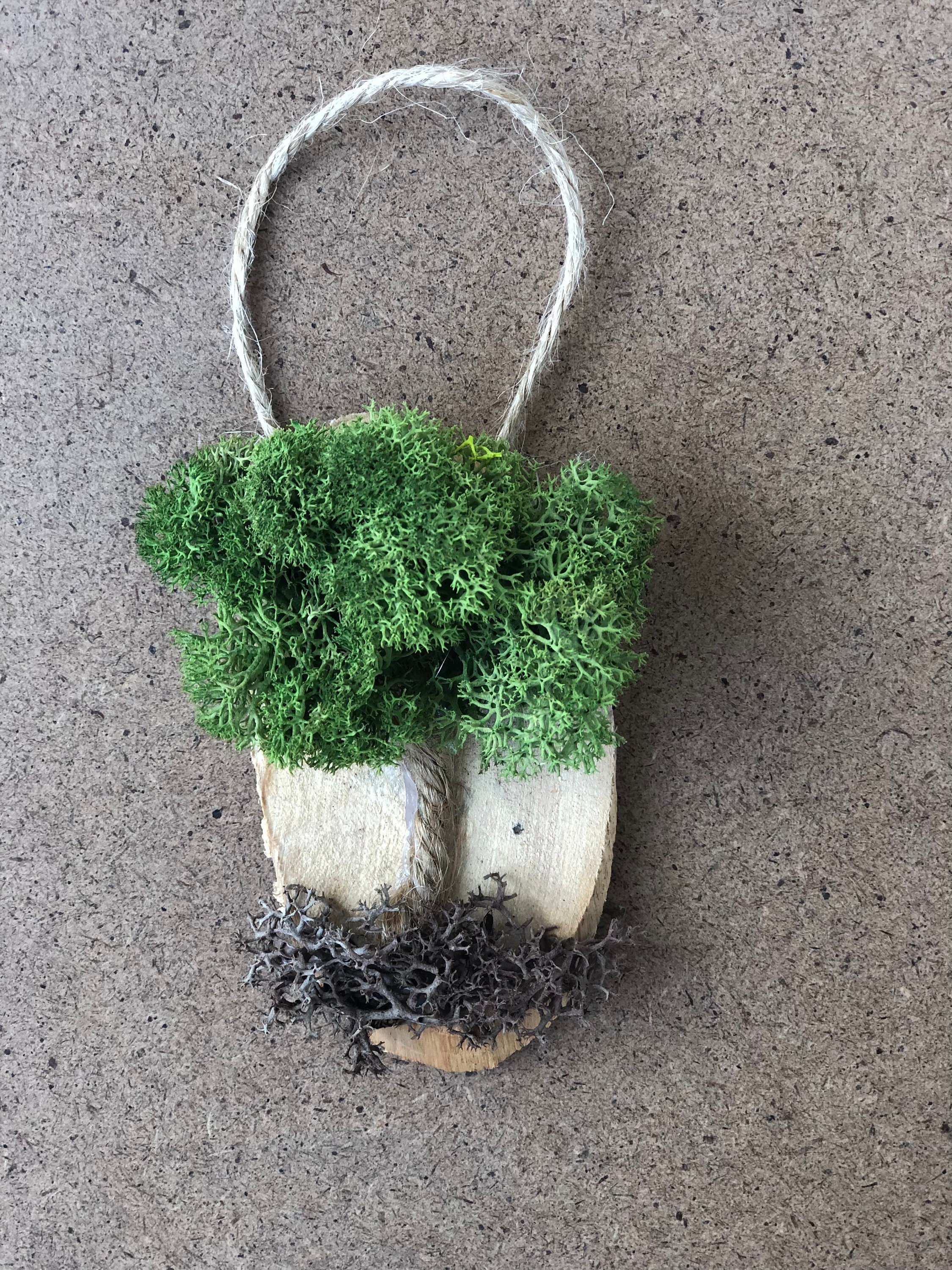 Fridge Magnets Set Moss Wall Art Unique Magnets Homemade Ornaments Eco ...