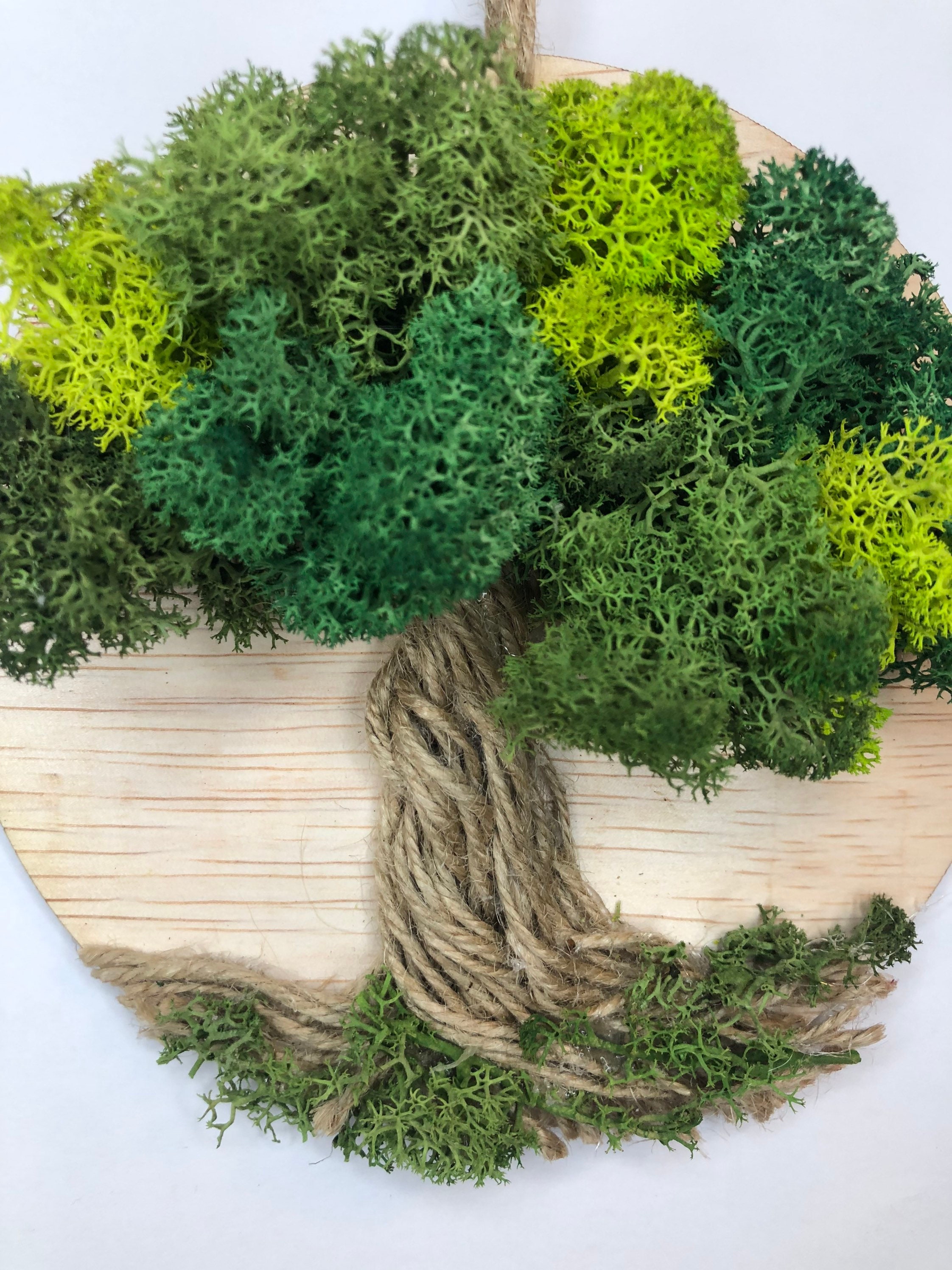 Tree Moss Wall Art, Preserved Moss Decor, Calming Nature Art, Tiny Tree ...