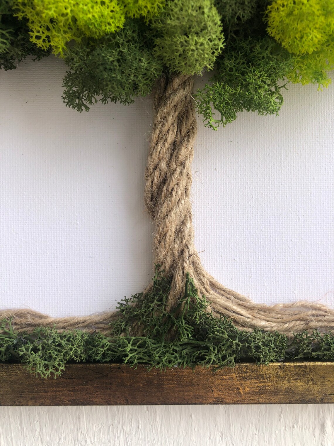 Green Moss Wall Art Preserved Moss Art Moss Tree Tree of | Etsy