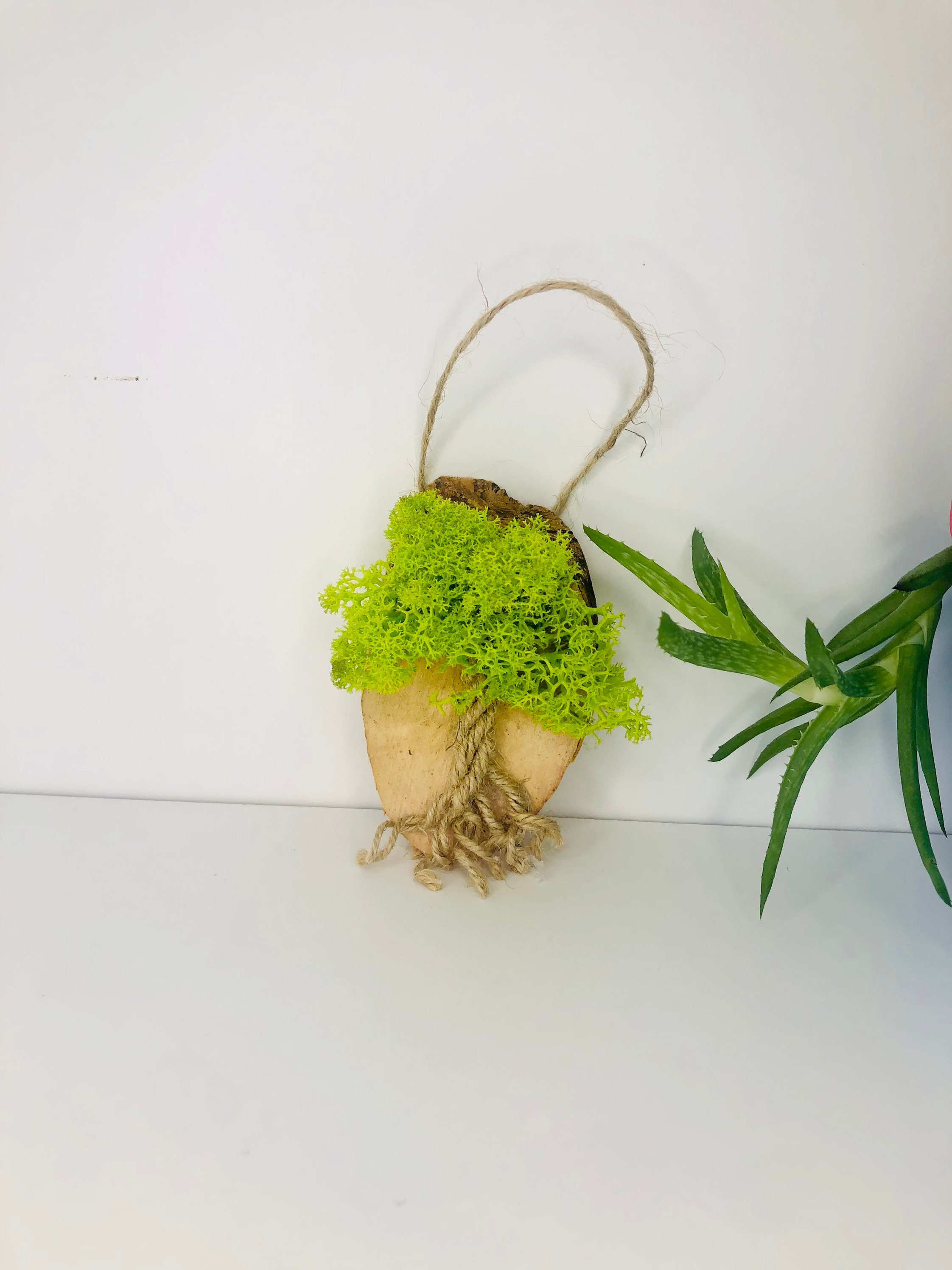 Moss Tree Fridge Magnet, Unique Plant Magnet, Eco Friendly Homemade ...