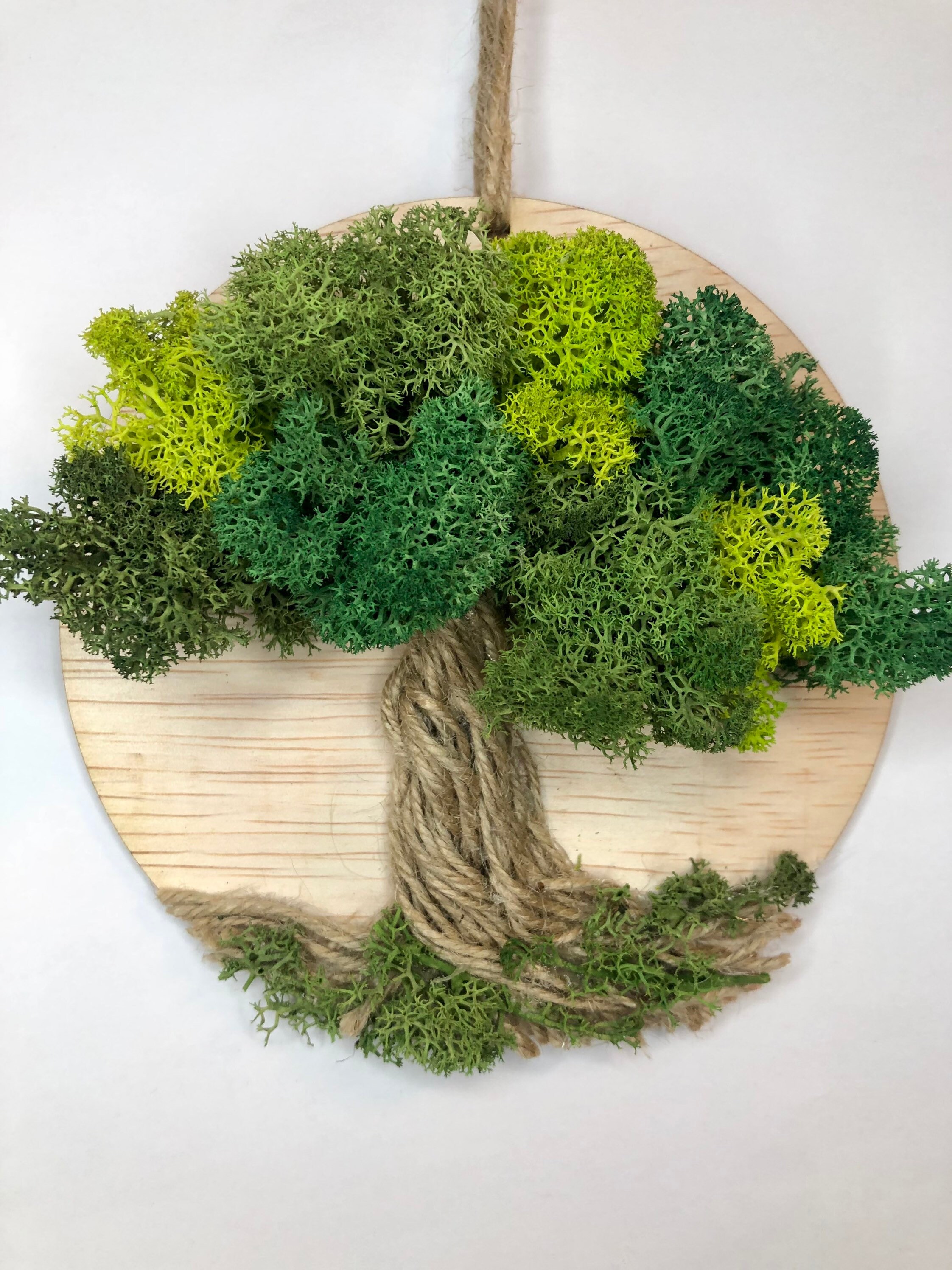 Tree Moss Wall Art, Preserved Moss Decor, Calming Nature Art, Tiny Tree ...