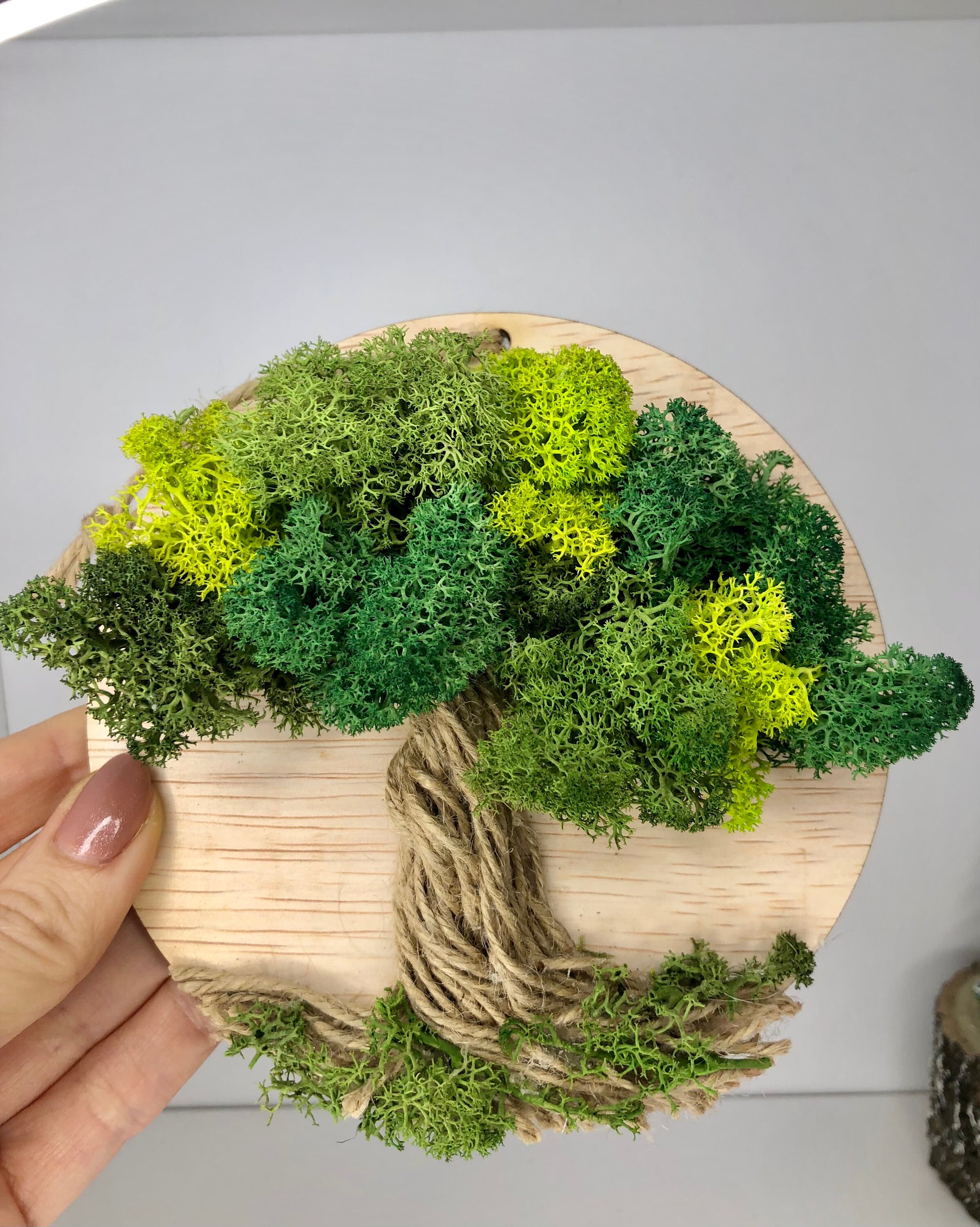Tree Moss Wall Art, Moss Tree of Life, Preserved Moss Decoration, Moss ...